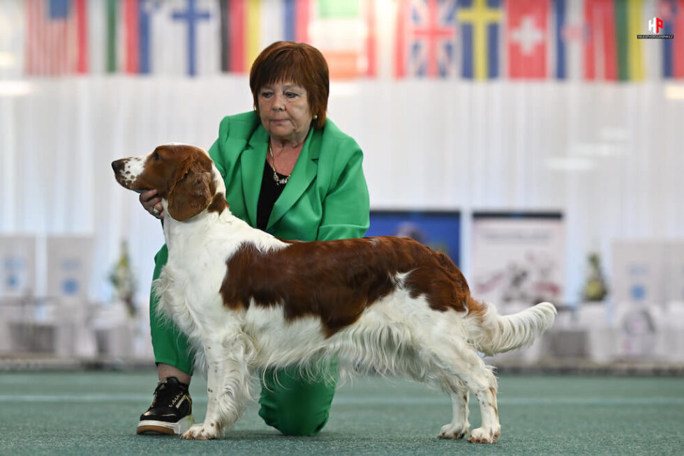 Carka became the champion | JANKINA ZÁHRADA
